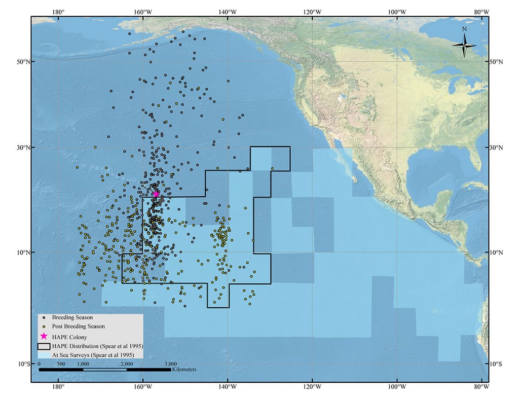 Seabird Tracking - Maui Nui Seabird Recovery Project